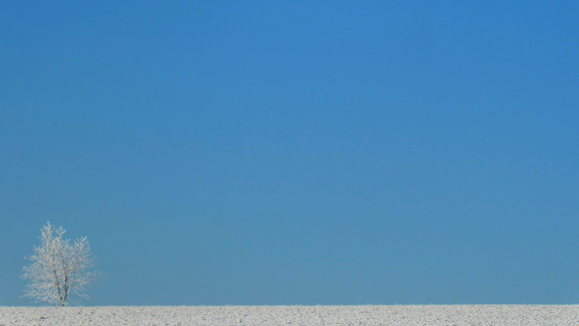 Winter Minimalismus Foto & Bild | fotos, spezial, winter Bilder auf fotocommunity