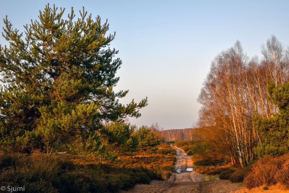 Winter Morgensonne 2 Foto & Bild | landschaft, jahreszeiten, winter Bilder auf fotocommunity