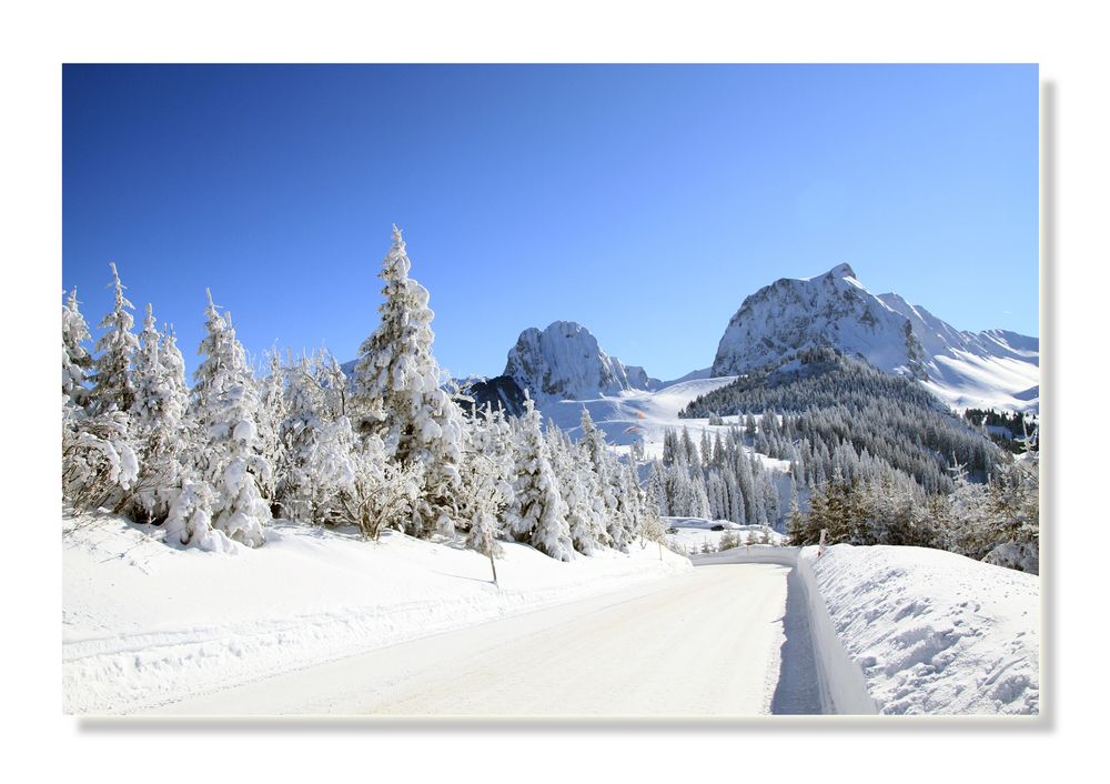 WINTER pur Foto & Bild | jahreszeiten, winter, natur Bilder auf fotocommunity