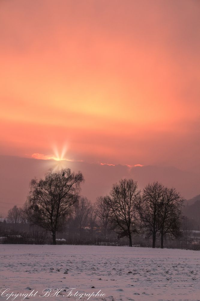 Winter, schon bald ist der Schnee von gestern. Foto & Bild | fotos, world, winter Bilder auf ...