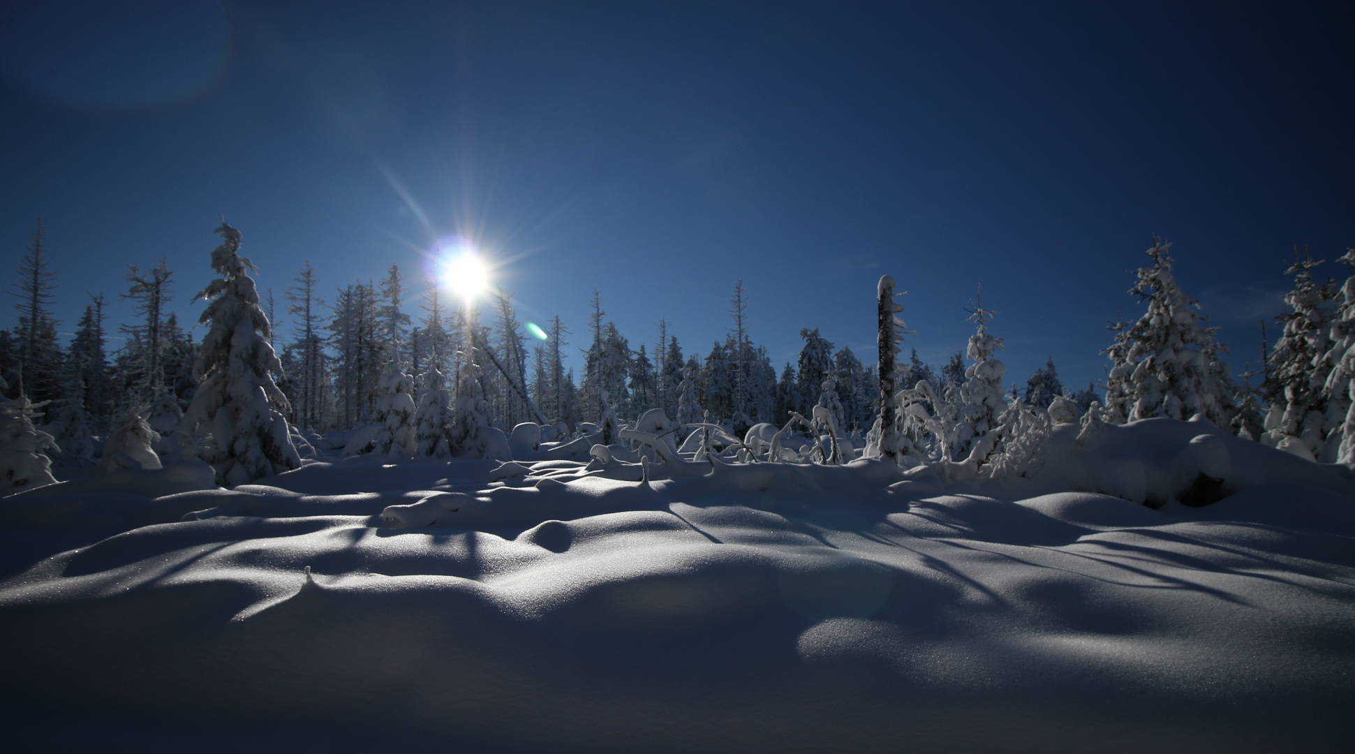 winter-wonderland Foto & Bild | world, winter, natur Bilder auf fotocommunity