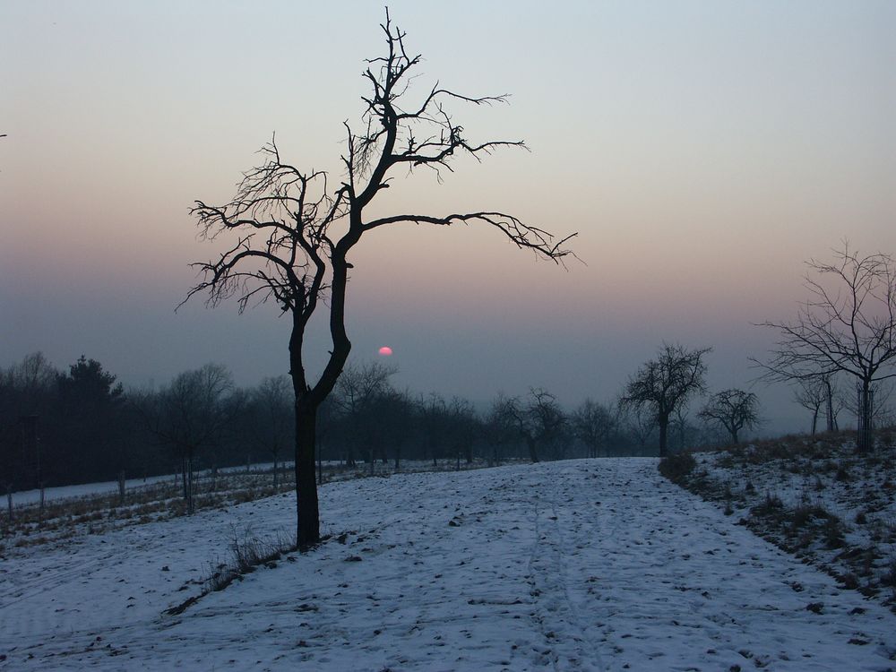 Winter_1 Foto & Bild | jahreszeiten, natur Bilder auf fotocommunity