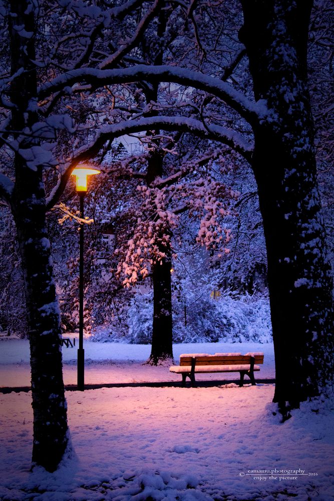 Winterabend Foto & Bild | jahreszeiten, winter, winterabend Bilder auf fotocommunity