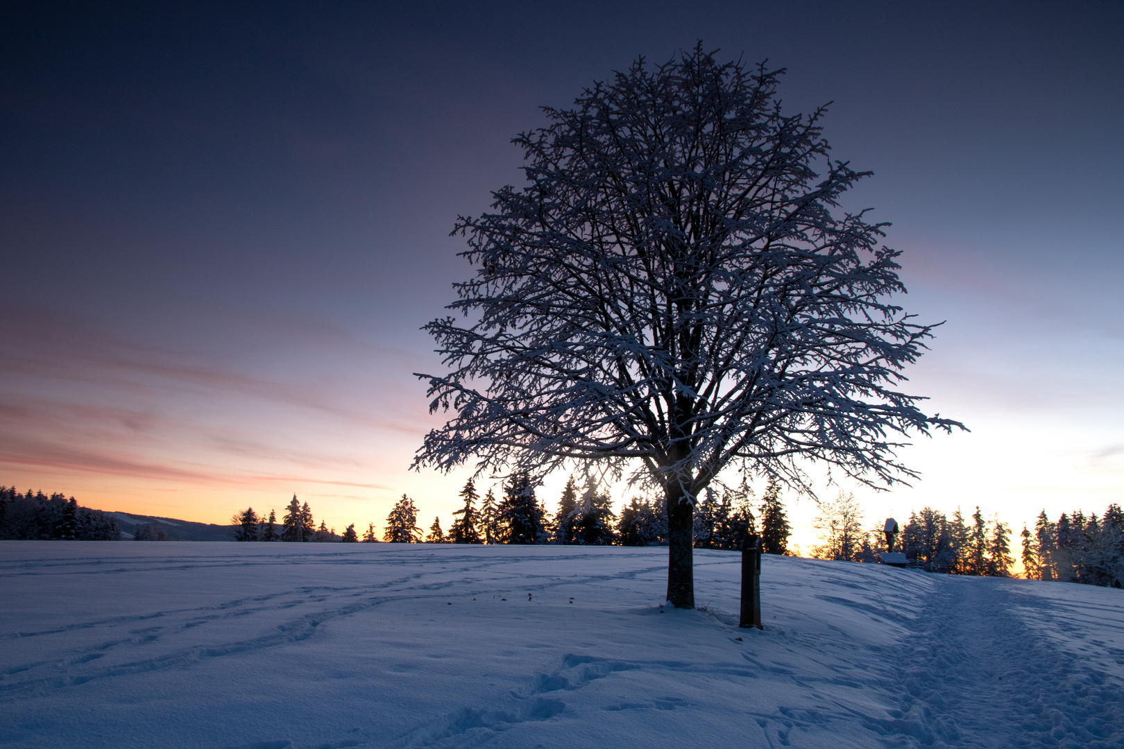 Winterabend Foto & Bild | jahreszeiten, winter, baum Bilder auf fotocommunity