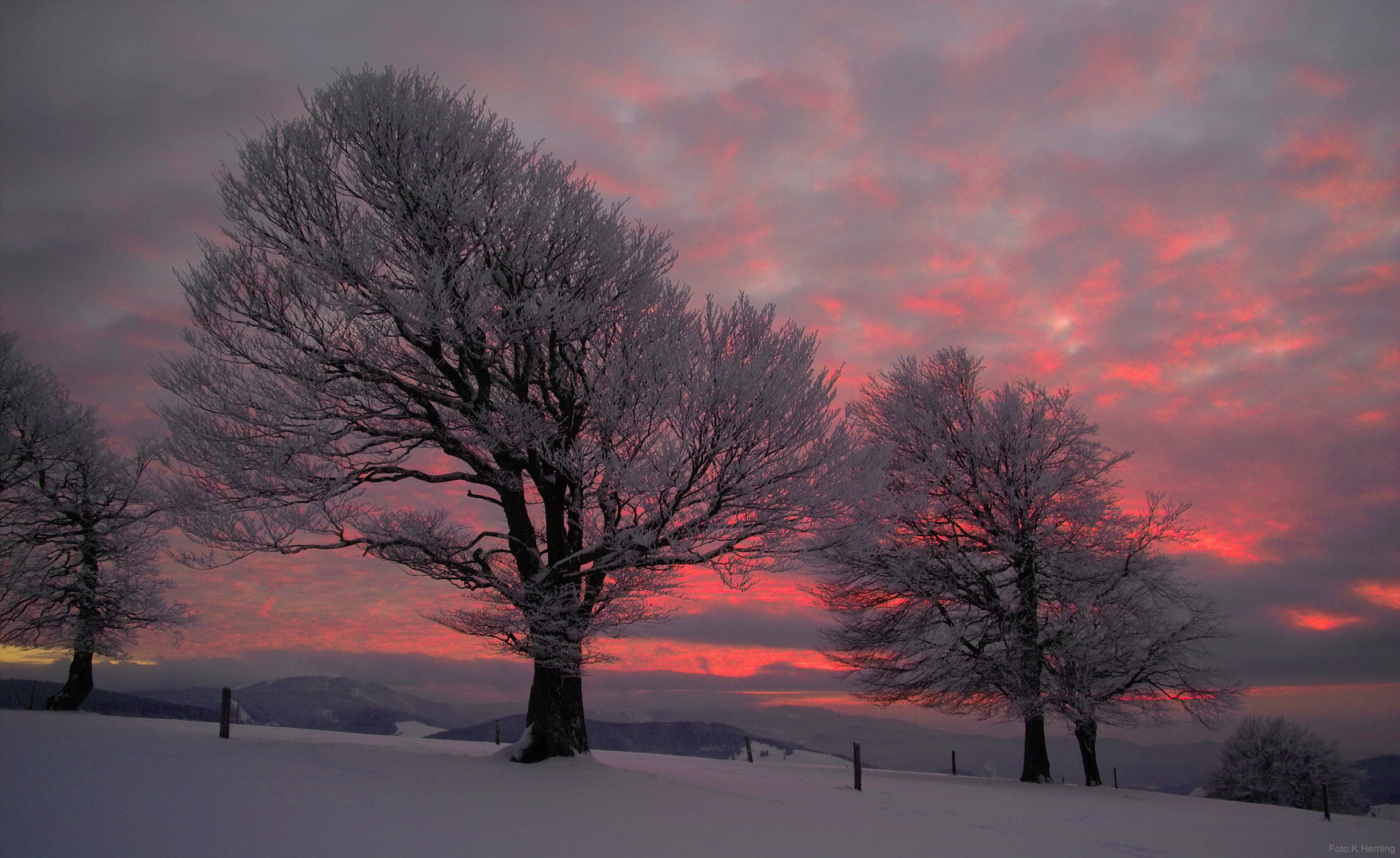 Winterabend 2 Foto & Bild | jahreszeiten, winter, bäume Bilder auf fotocommunity