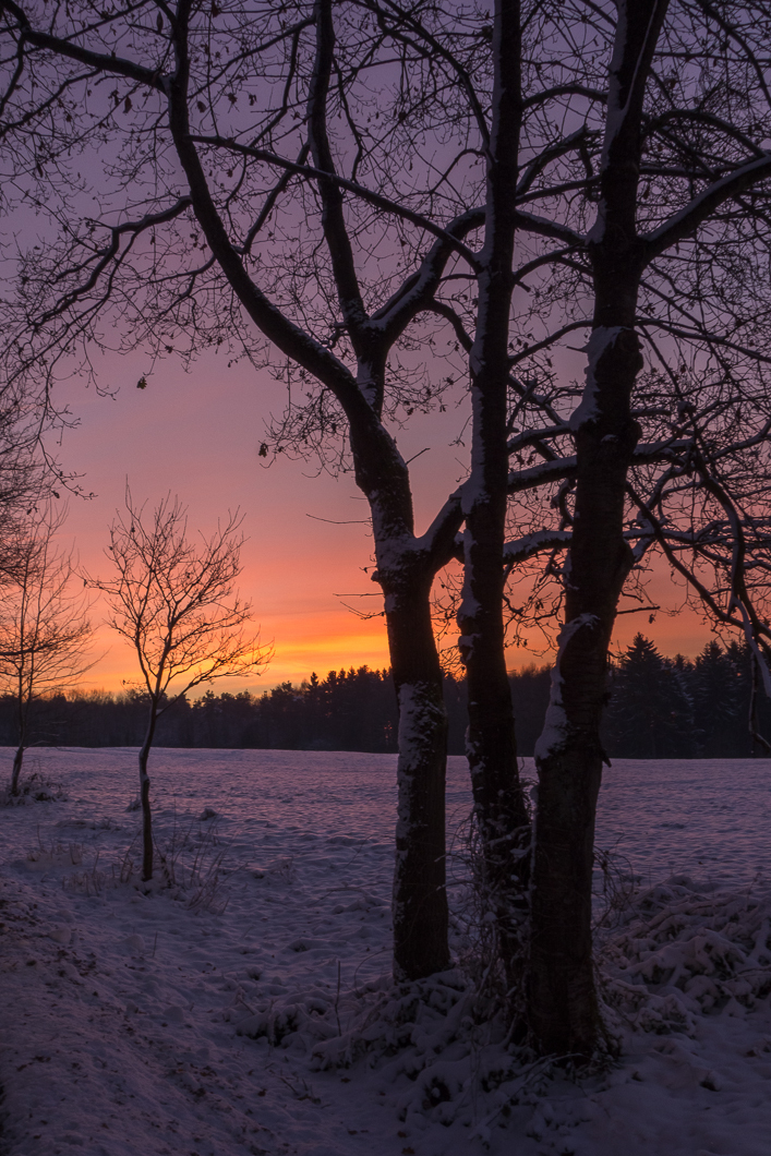 Winterabend... Foto & Bild | jahreszeiten, winter, reiner jacobs -natur Bilder auf fotocommunity