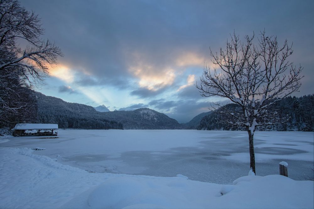 ~ Winterabend am Alpsee ~ Foto & Bild | world, sonnenuntergang, bäume ...