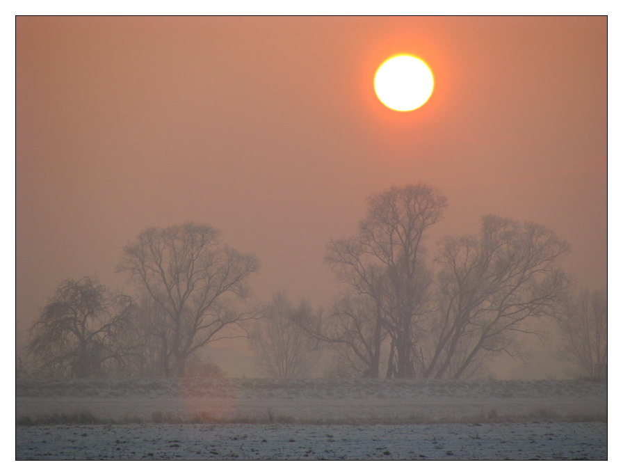 Winterabend Foto & Bild | nebelstimmungen, wetter, natur & landschaft Bilder auf fotocommunity