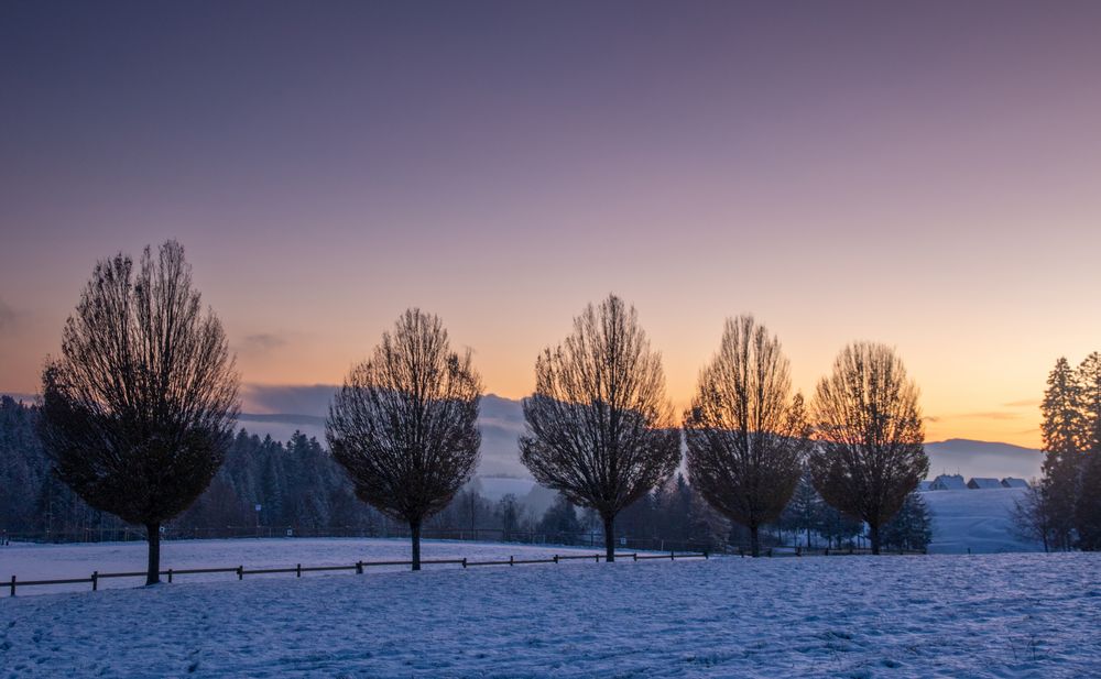 Winterabend Foto & Bild | jahreszeiten, winter, bäume Bilder auf fotocommunity