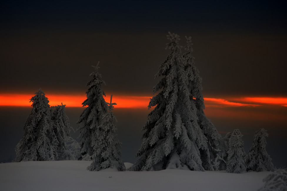 Winterabend im Hohen Venn Foto & Bild | jahreszeiten, winter, hohes venn Bilder auf fotocommunity