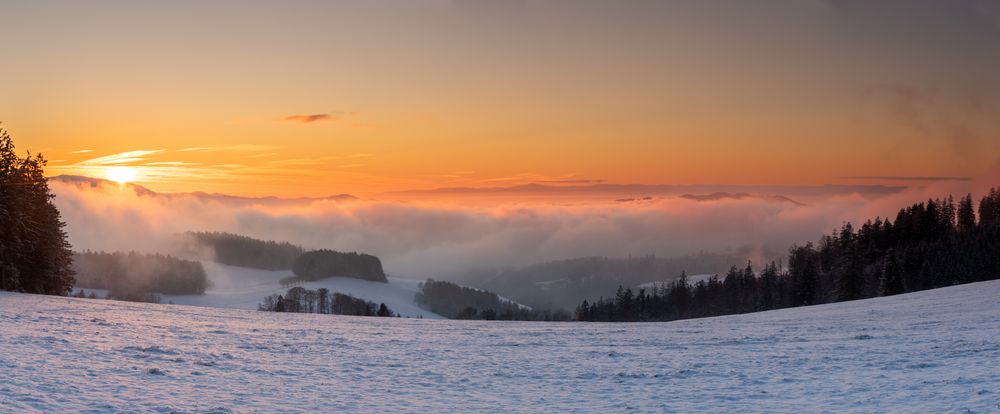 Winterabend im Schwarzwald Foto & Bild | winter, abendstimmung, natur Bilder auf fotocommunity