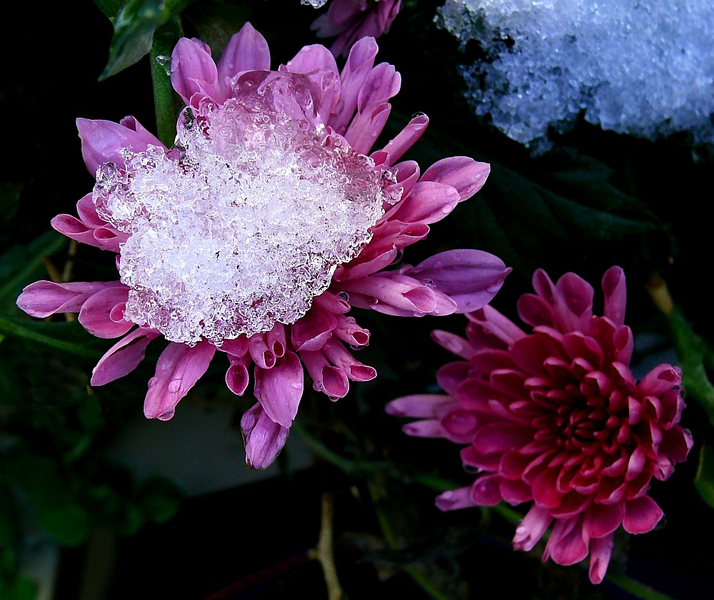 WINTERaster Foto & Bild | jahreszeiten, winter, natur Bilder auf ...