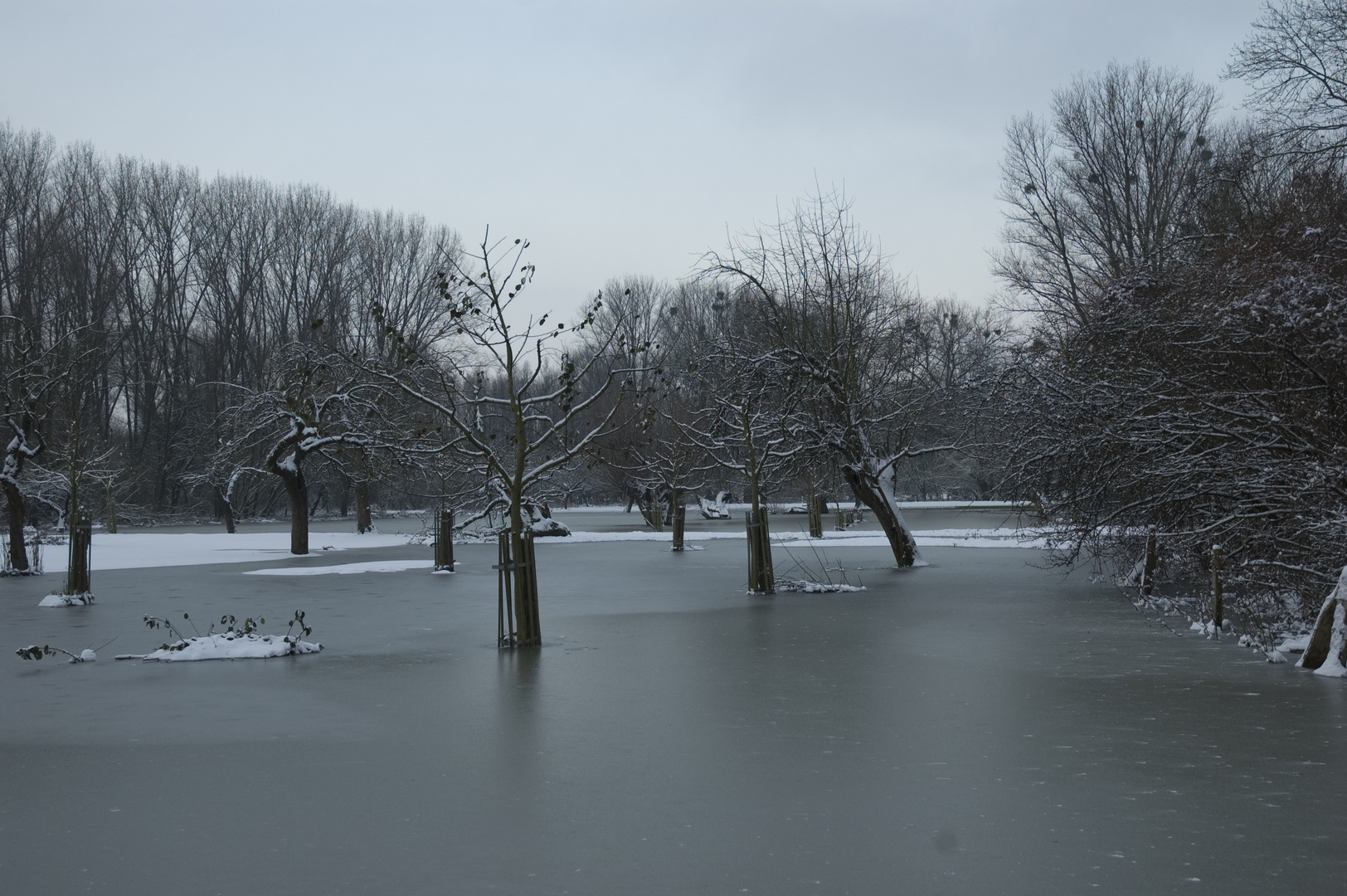 Winterbilder Foto & Bild | jahreszeiten, natur Bilder auf fotocommunity
