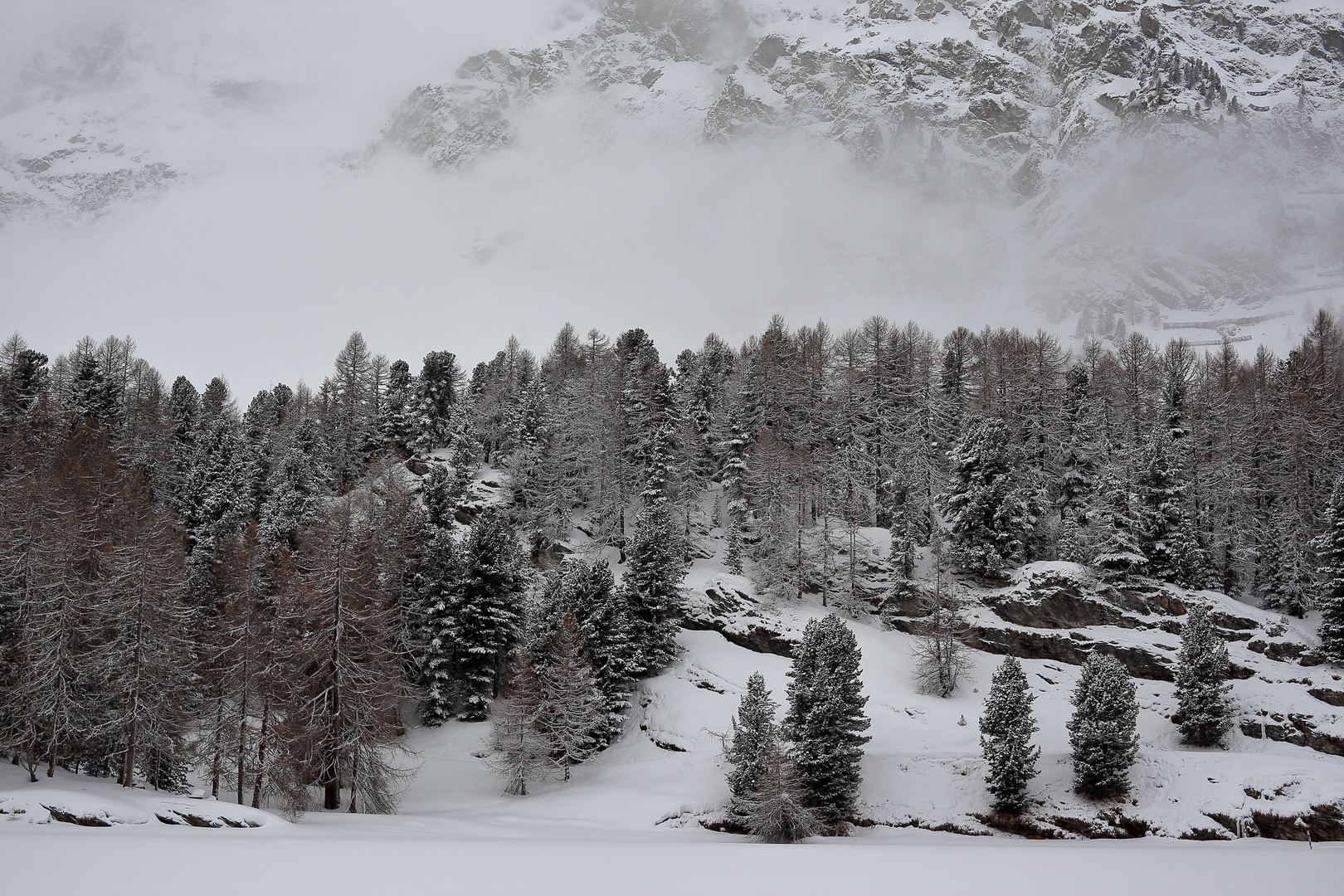 Winterbilder aus dem Engadin Foto & Bild | world, winter, natur Bilder ...