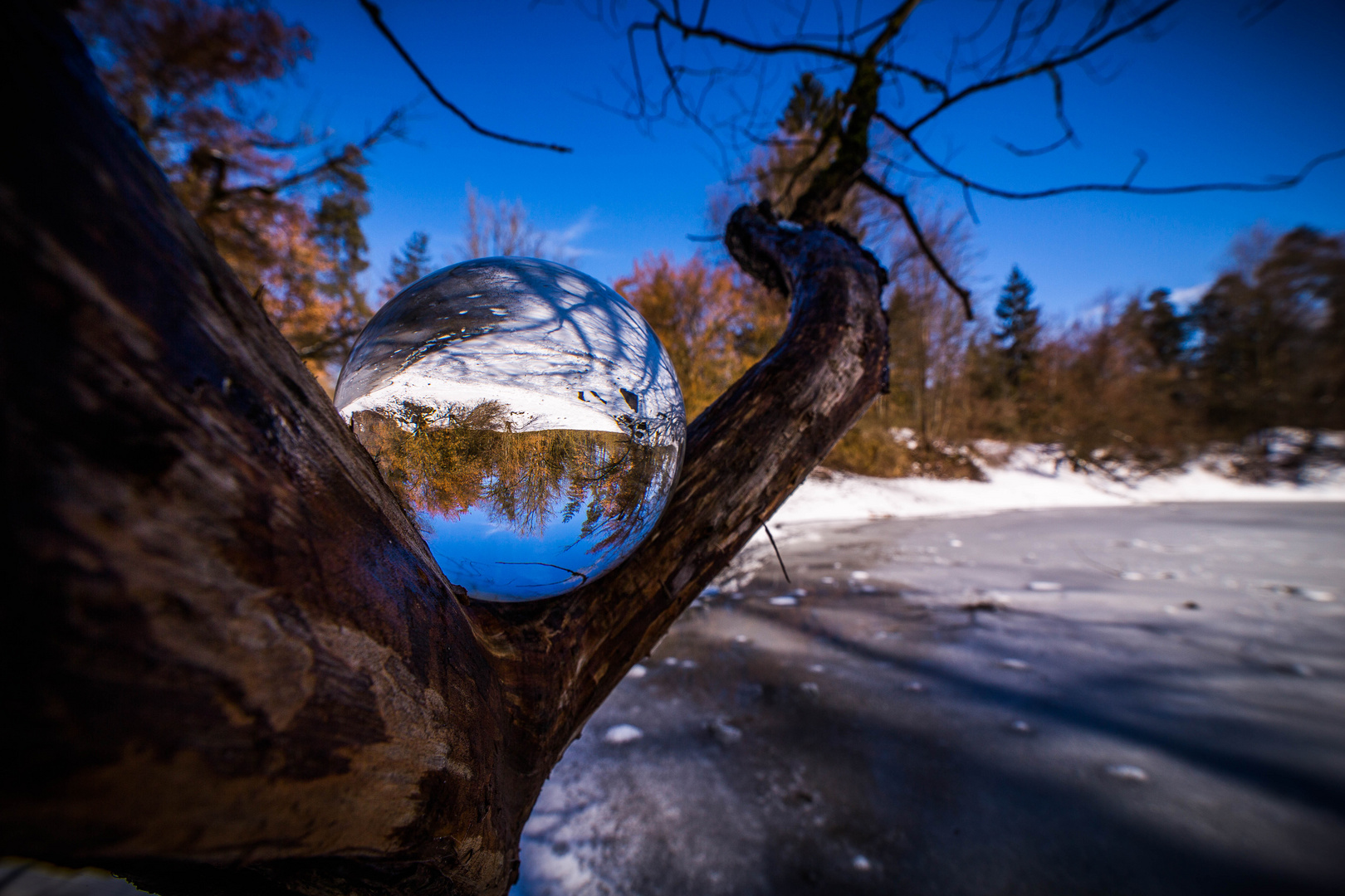 Winterende Foto & Bild | natur, landschaft, jahreszeiten Bilder auf ...