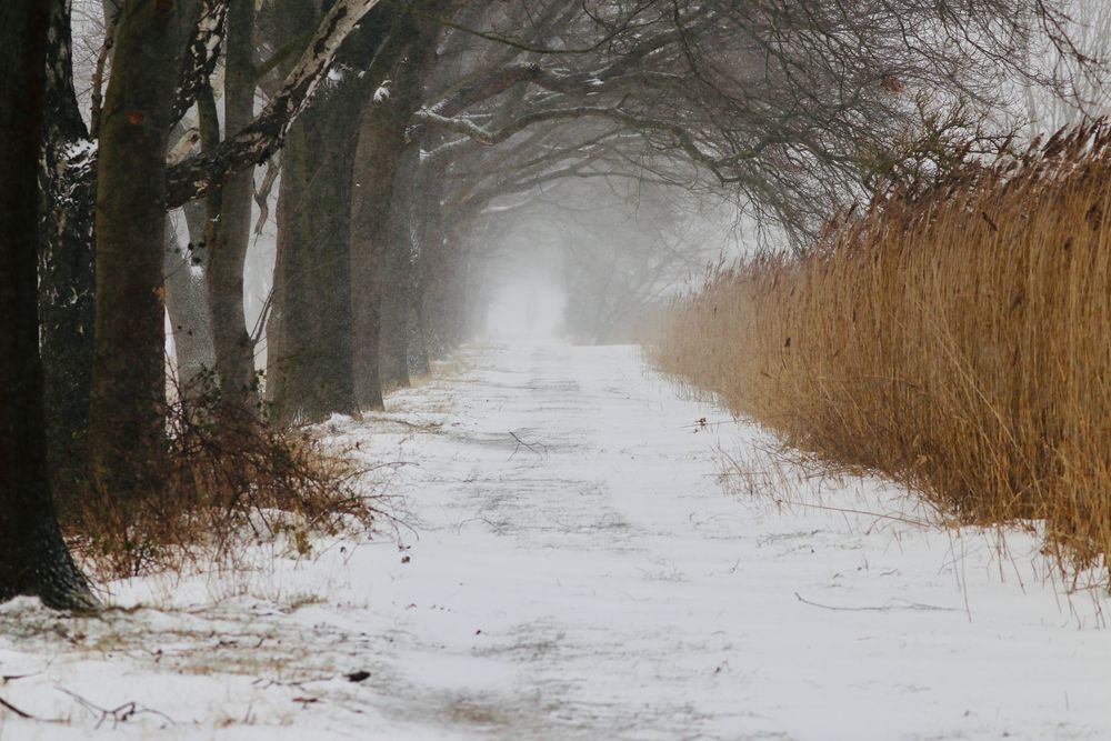 Winterfeeling Foto & Bild | jahreszeiten, winter, landschaften Bilder auf fotocommunity