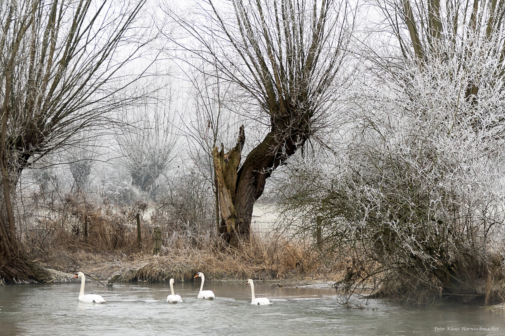 Winterimpression 01 Foto & Bild | jahreszeiten, winter, natur Bilder ...