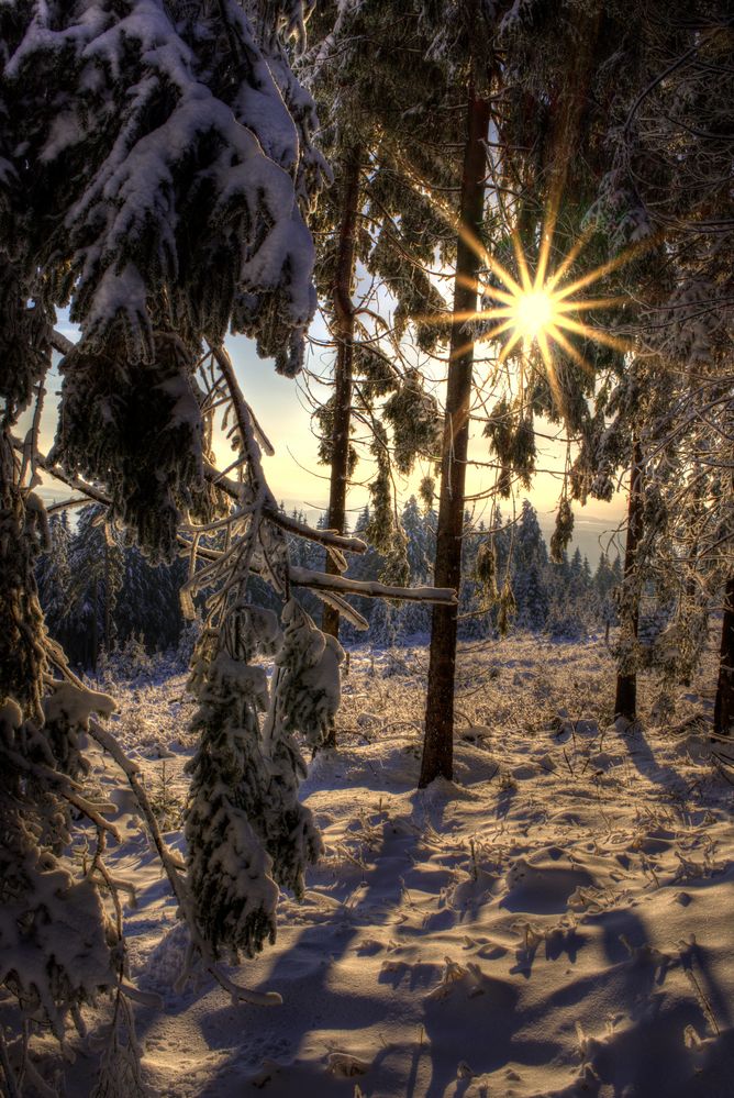 Winterimpression.... Foto & Bild | jahreszeiten, winter, natur Bilder ...