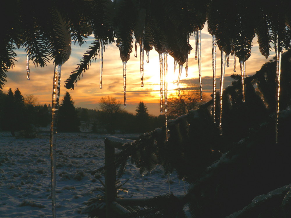 " WINTERIMPRESSIONEN 6 " Foto & Bild | jahreszeiten, winter, natur ...