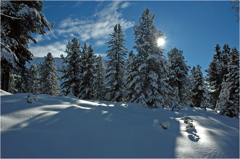 Winterimpressionen Foto & Bild | jahreszeiten, winter, natur Bilder auf ...