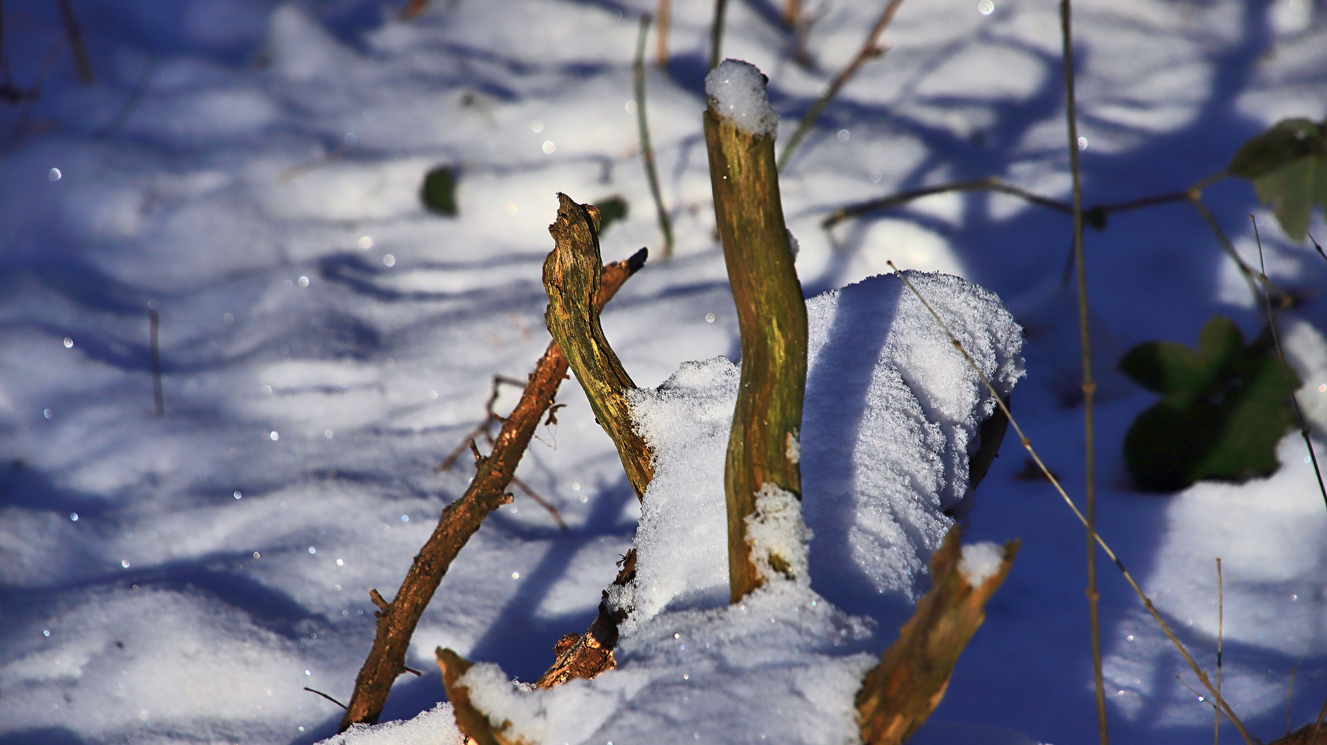 Winterimpressionen... Foto & Bild | sonstiges, jahreszeiten, winter ...