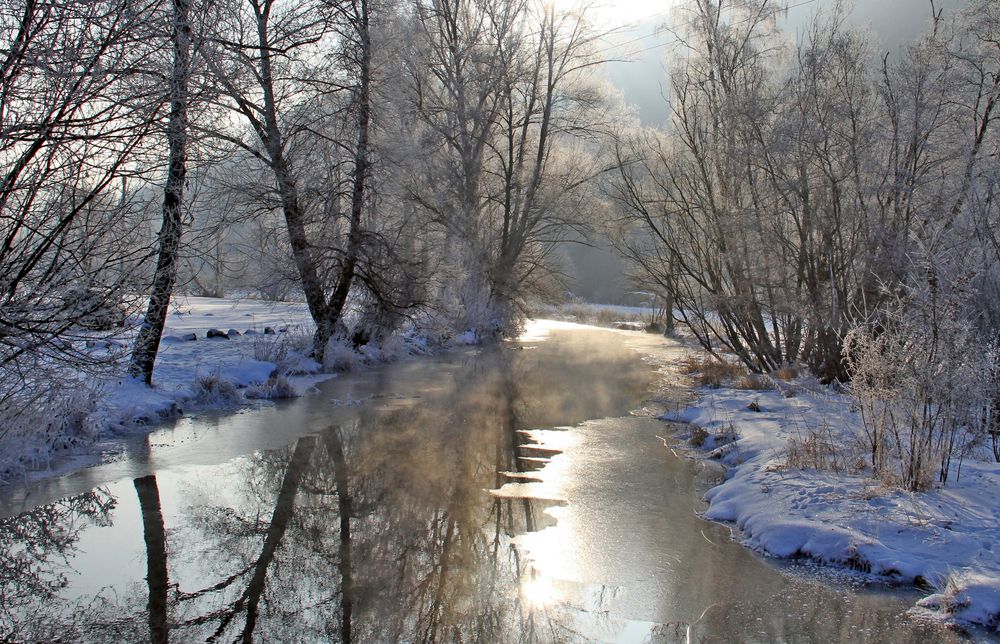 Winterimpressionen 8 Foto & Bild | natur, jahreszeiten ...