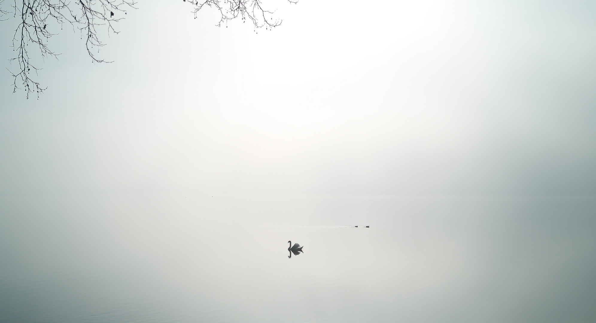 Winterimpressionen am Bodensee Foto & Bild | deutschland, europe, baden ...