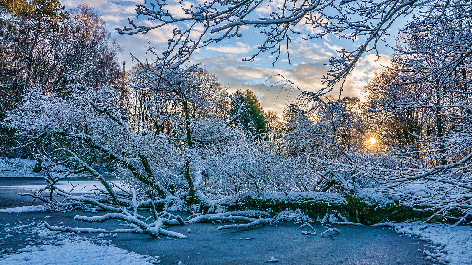 Winterimpressionen, Foto & Bild | jahreszeiten, winter ...