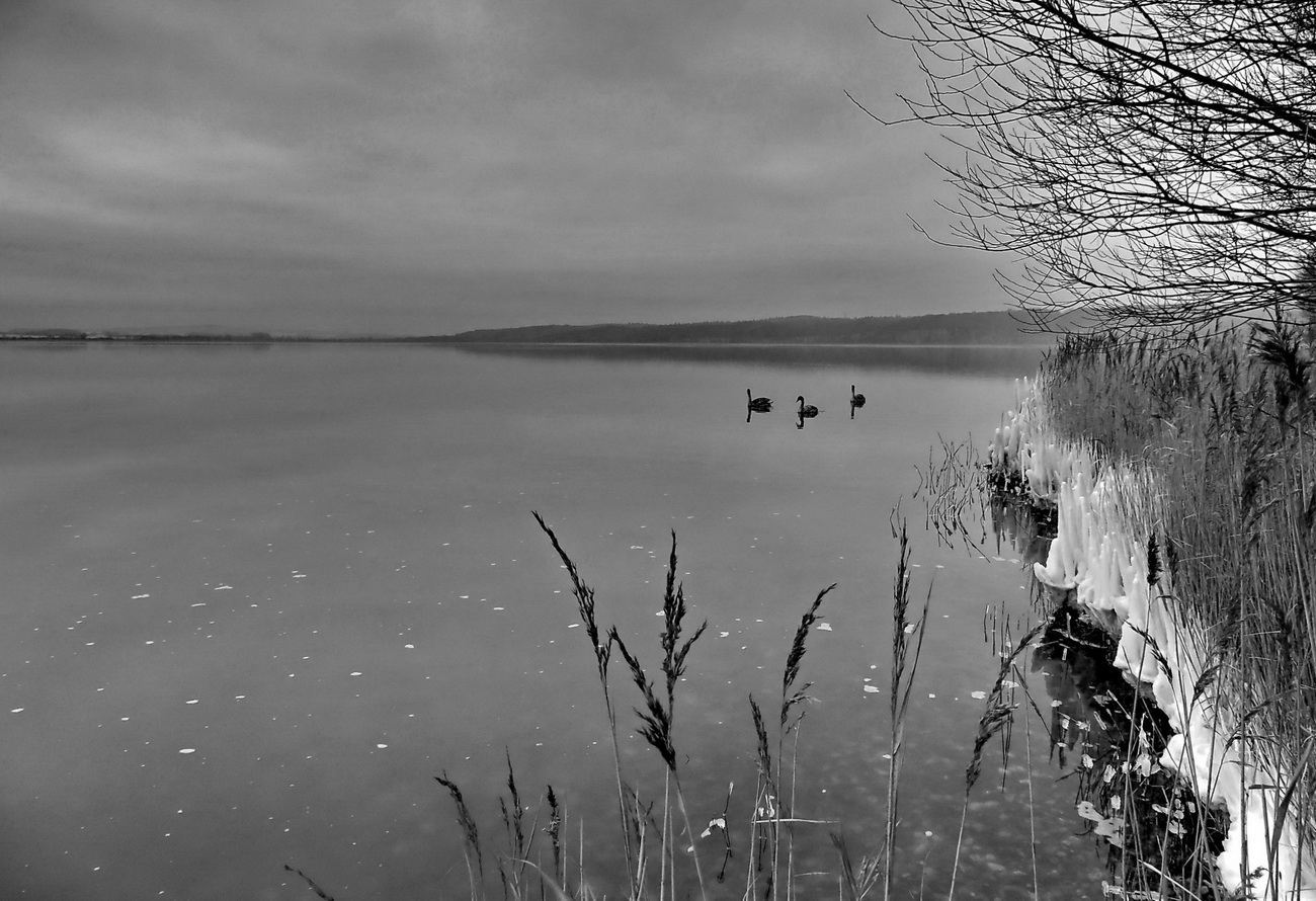 Winterimpressionen Foto & Bild | jahreszeiten, rügen, winter Bilder auf ...