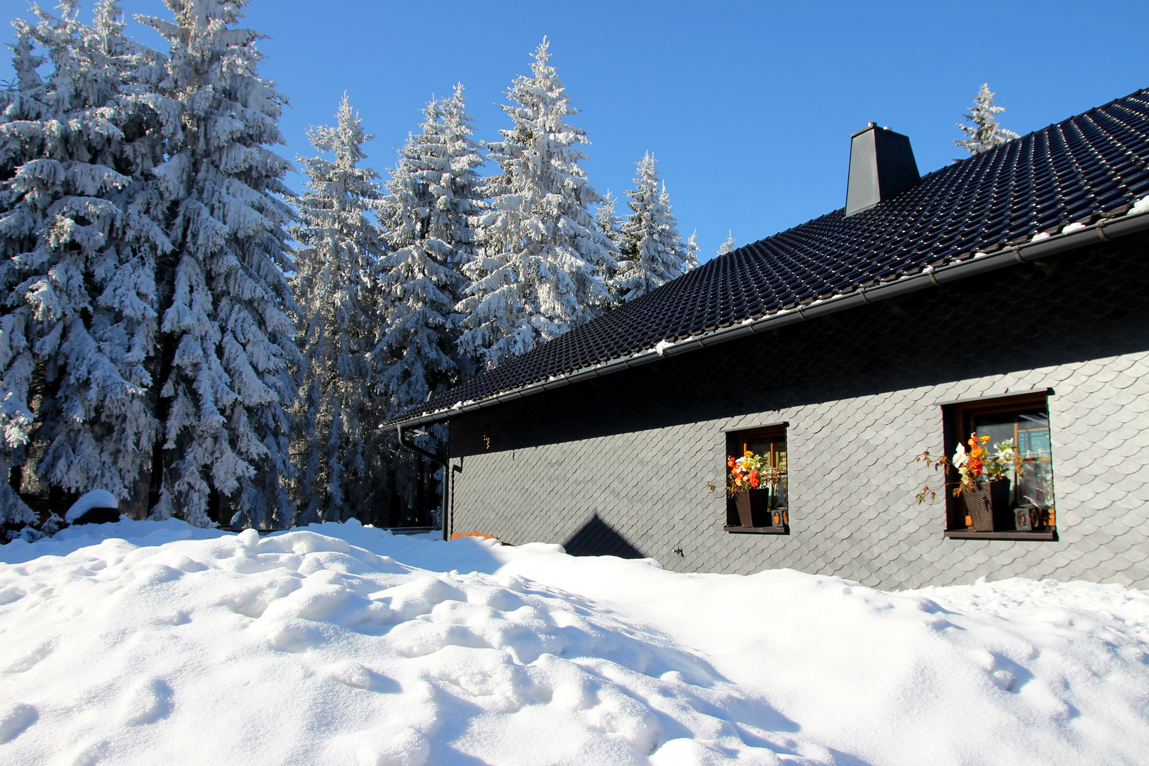 Winterimpressionen III Foto & Bild | winter, schnee, natur Bilder auf ...