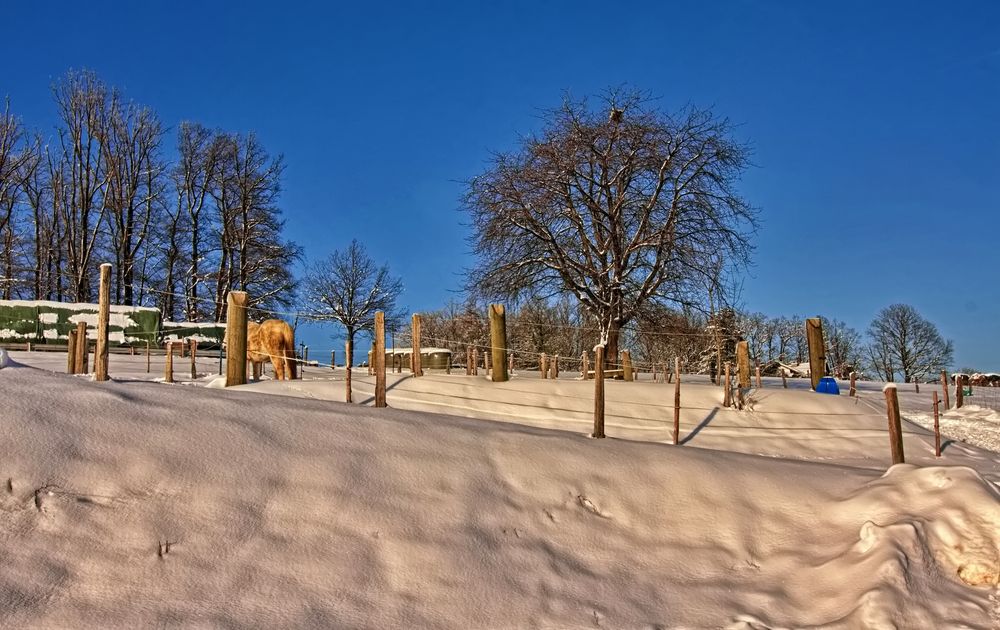Winterland Foto & Bild | deutschland, europe, nordrhein- westfalen ...