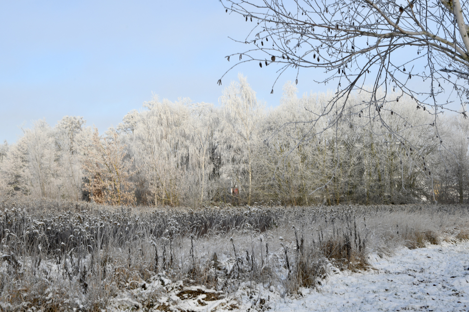 Winterlandschaft Foto & Bild | winter, schnee, natur Bilder auf fotocommunity