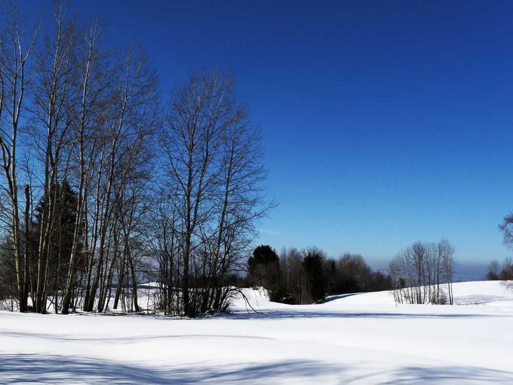 Winterlandschaft Foto & Bild | jahreszeiten, winter, natur Bilder auf fotocommunity