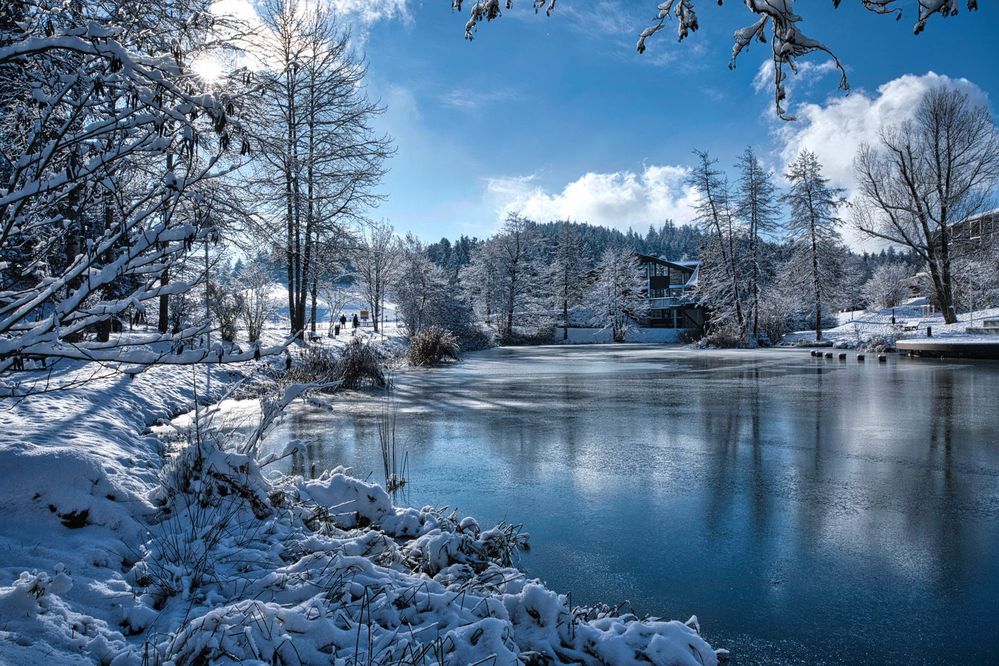 Winterlandschaft an einem Weiher Foto & Bild | landschaft, jahreszeiten, winter Bilder auf ...