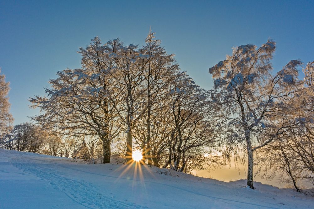 Winterlandschaft Foto & Bild | jahreszeiten, winter, landschaften Bilder auf fotocommunity