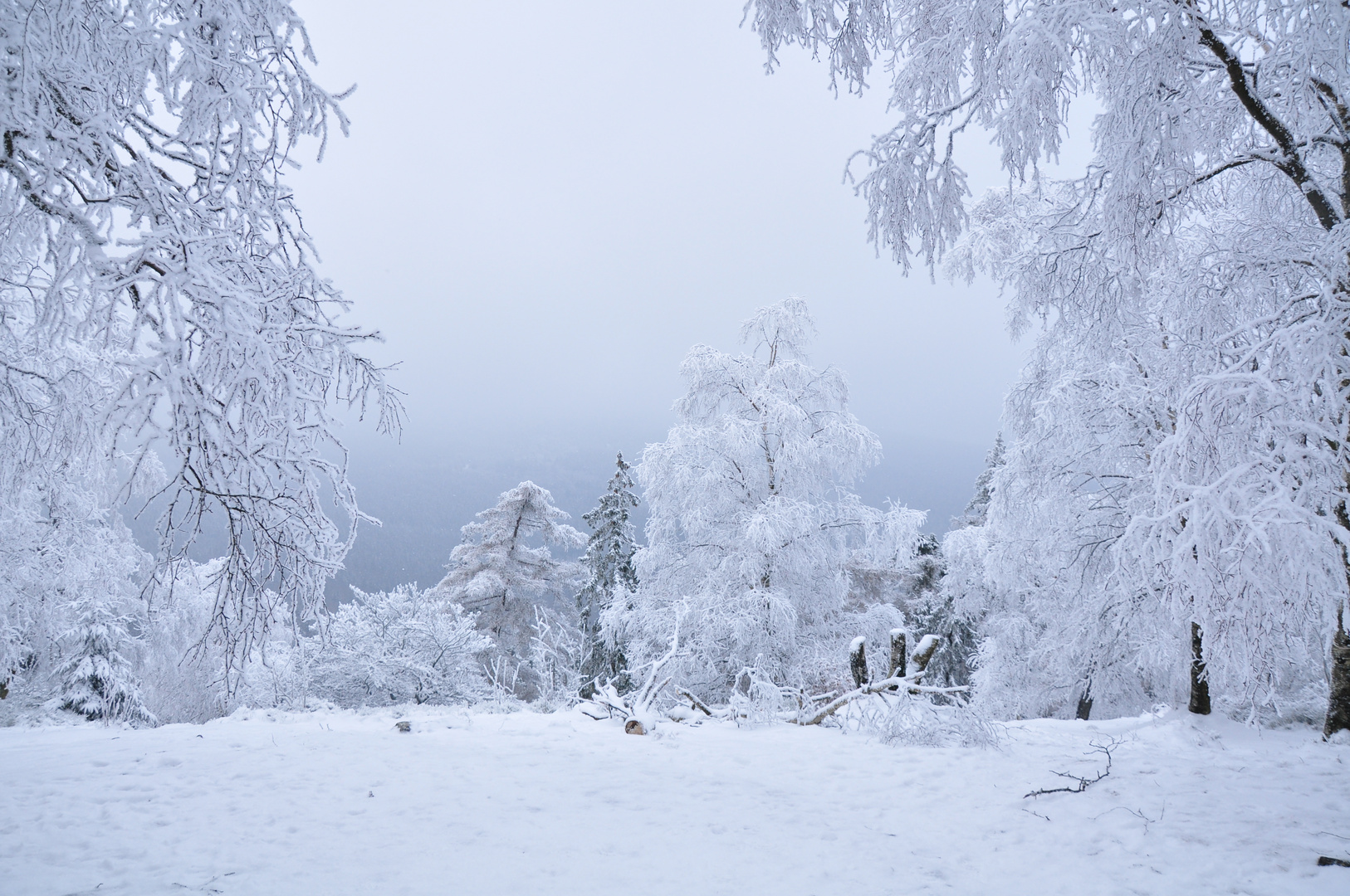 Winterlandschaft Foto & Bild | jahreszeiten, winter, natur Bilder auf fotocommunity