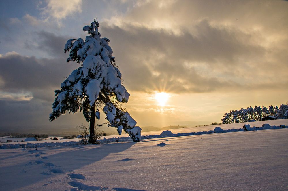 Winterlandschaft IV Foto & Bild | jahreszeiten, winter, winterstimmung.winterlichtstimmung ...
