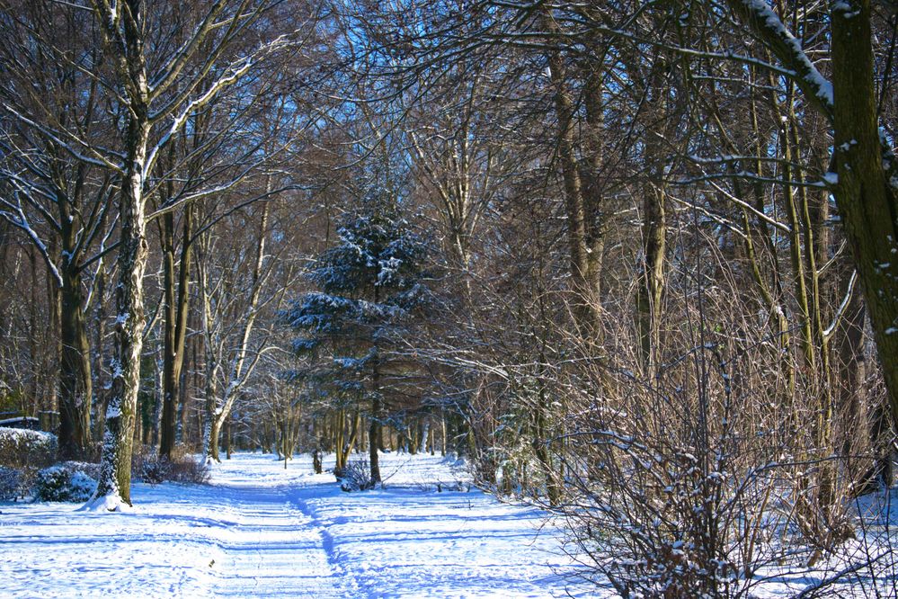Winterlandschaft ....light ((( Foto & Bild | jahreszeiten, winter, landschaft Bilder auf ...