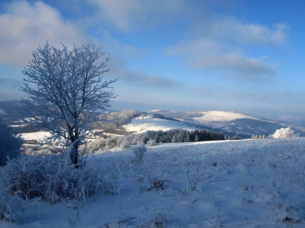 Winterlandschaft / Rhön Foto & Bild | landschaft, natur Bilder auf ...