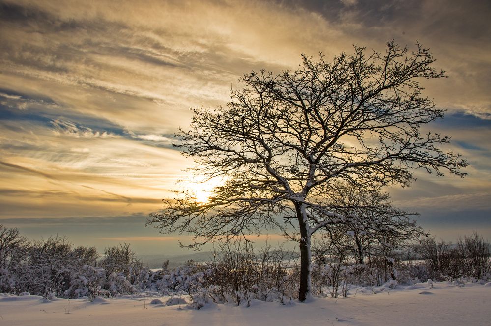 Winterlandschaft VII Foto & Bild | jahreszeiten, winter, landschaften Bilder auf fotocommunity