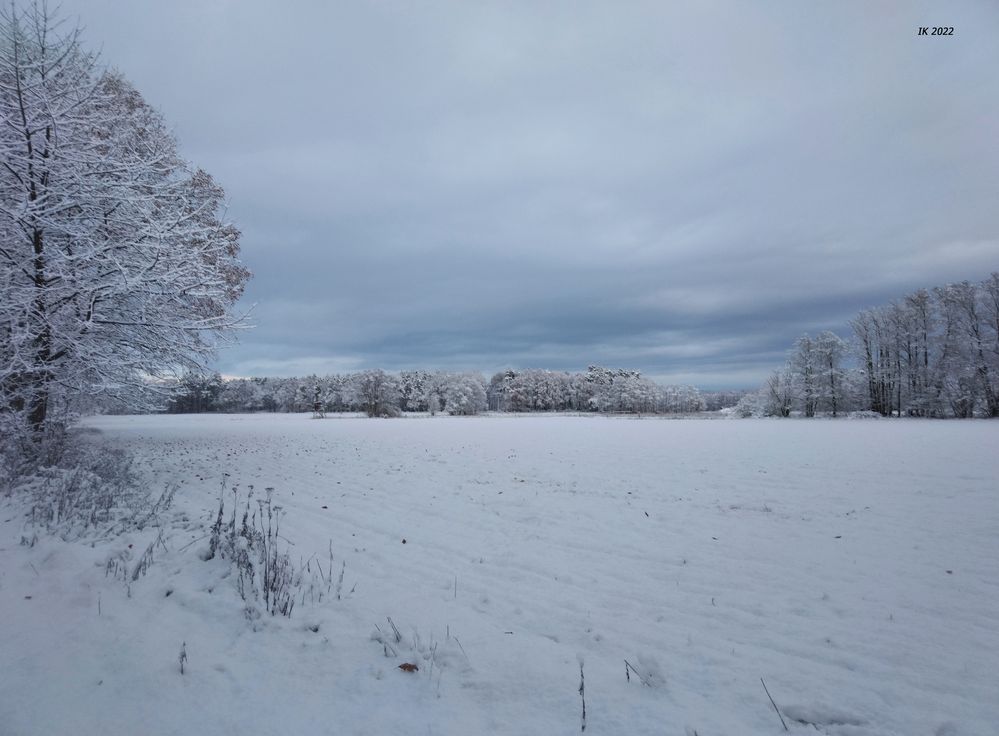 winterlich..... Foto & Bild | winter, natur, jahreszeiten Bilder auf fotocommunity