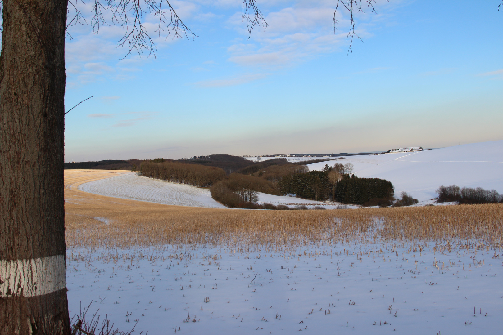 Winterliche Landschaft im Oesling Foto & Bild | landschaft, Äcker ...