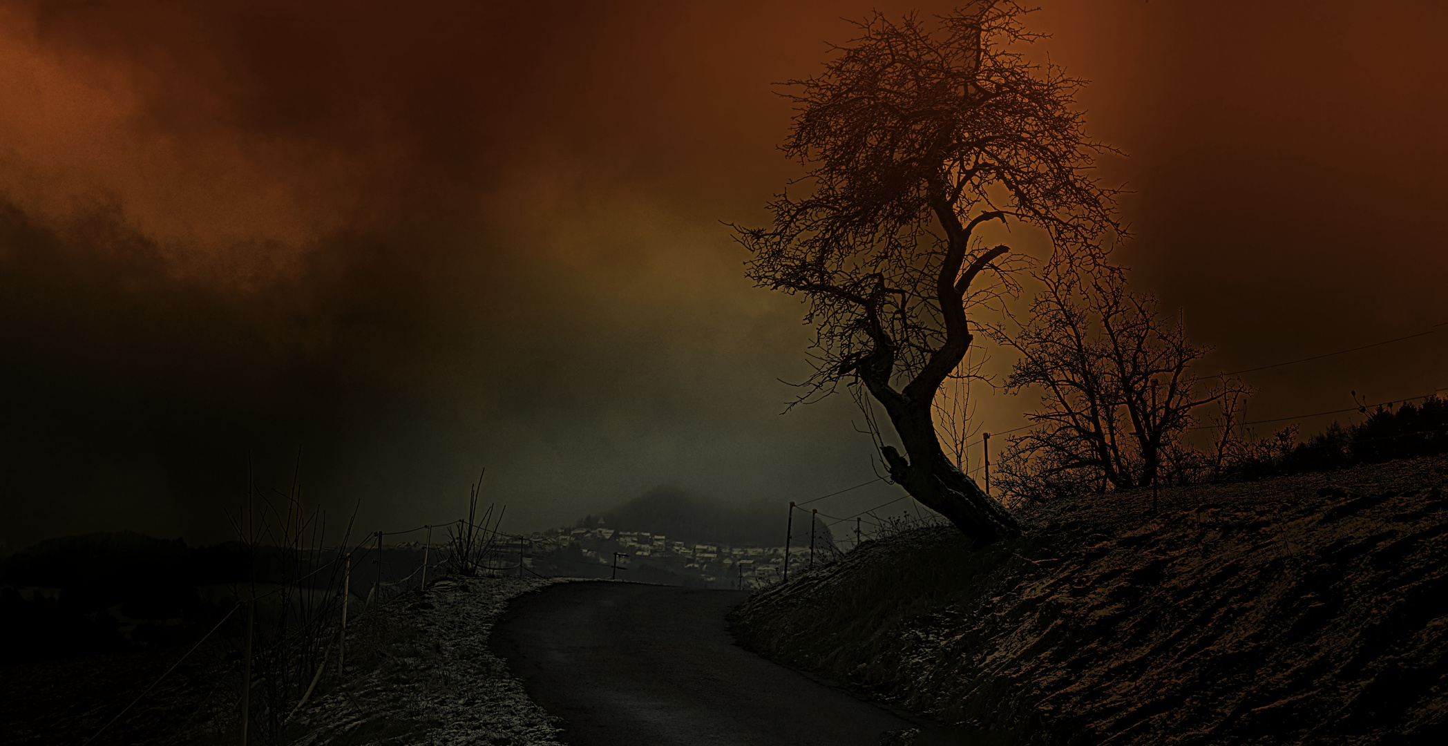 Winterlicher Apfelbaum - Traum im Schwabenländle Foto & Bild | motive ...