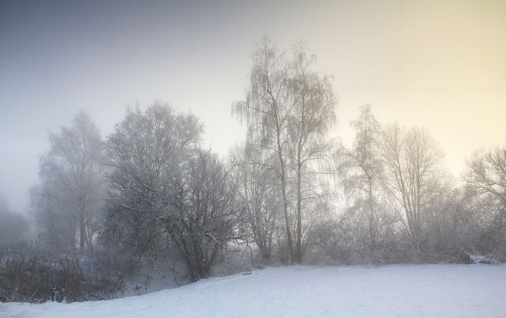 Winterliches Licht Foto & Bild | jahreszeiten, winter, winterliches licht Bilder auf fotocommunity