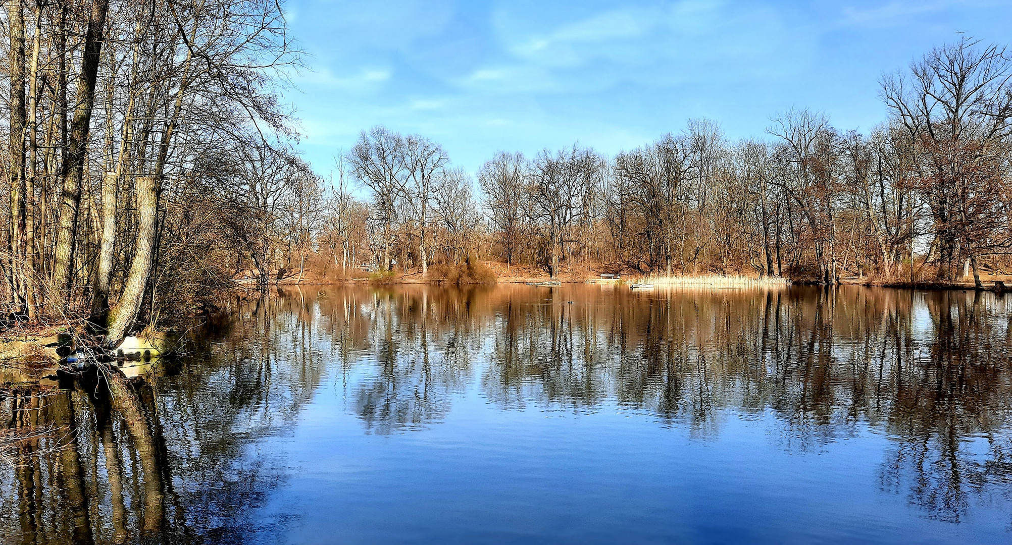 Winterlicht Foto & Bild | landschaft, jahreszeiten, winter Bilder auf fotocommunity