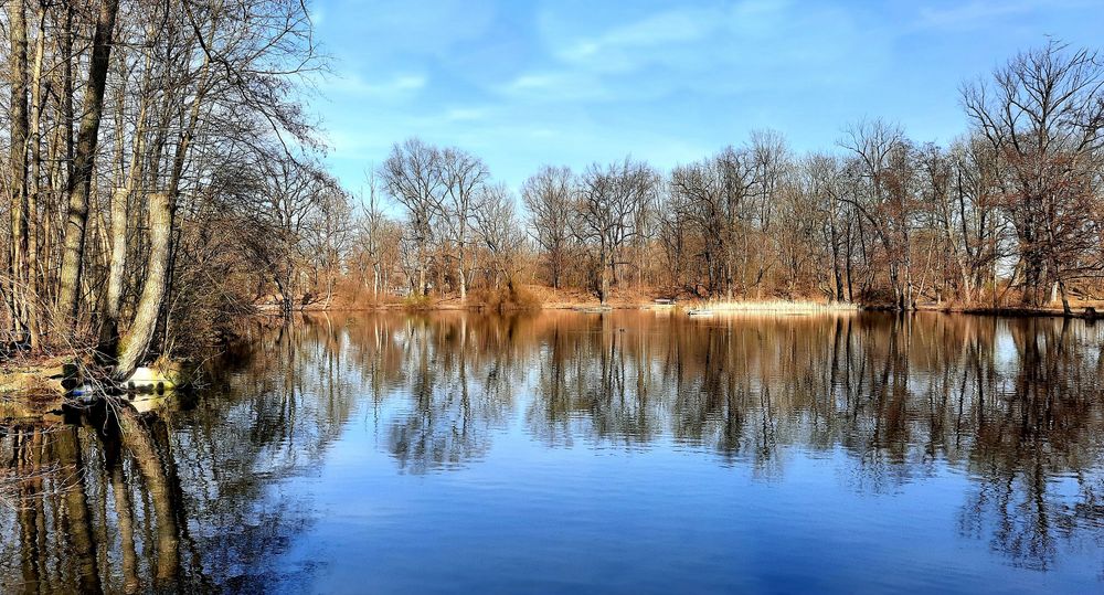 Winterlicht Foto & Bild | landschaft, jahreszeiten, winter Bilder auf fotocommunity