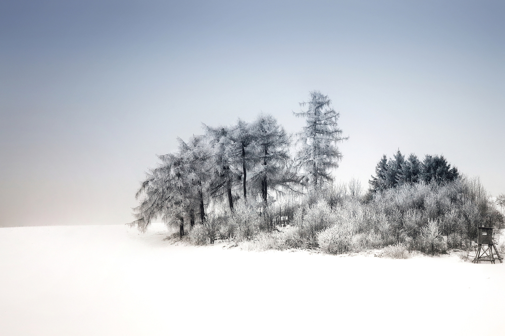 Winterlicht Foto & Bild | jahreszeiten, winter, natur Bilder auf fotocommunity