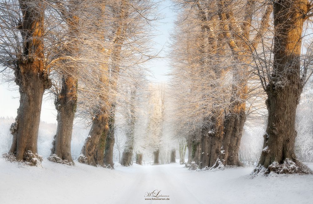 Winterlich(t) Foto & Bild | landschaft, jahreszeiten, winter Bilder auf fotocommunity