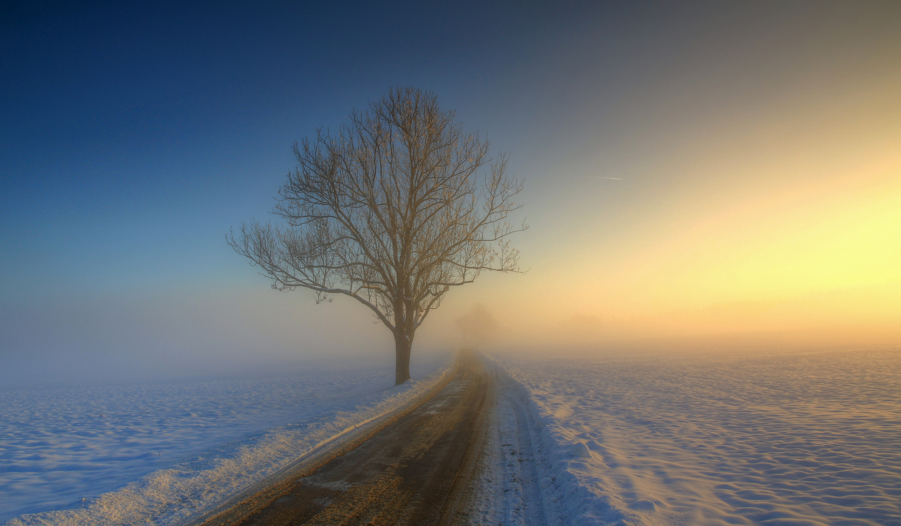 Winterlicht Foto & Bild | jahreszeiten, winter, winterlicht Bilder auf fotocommunity