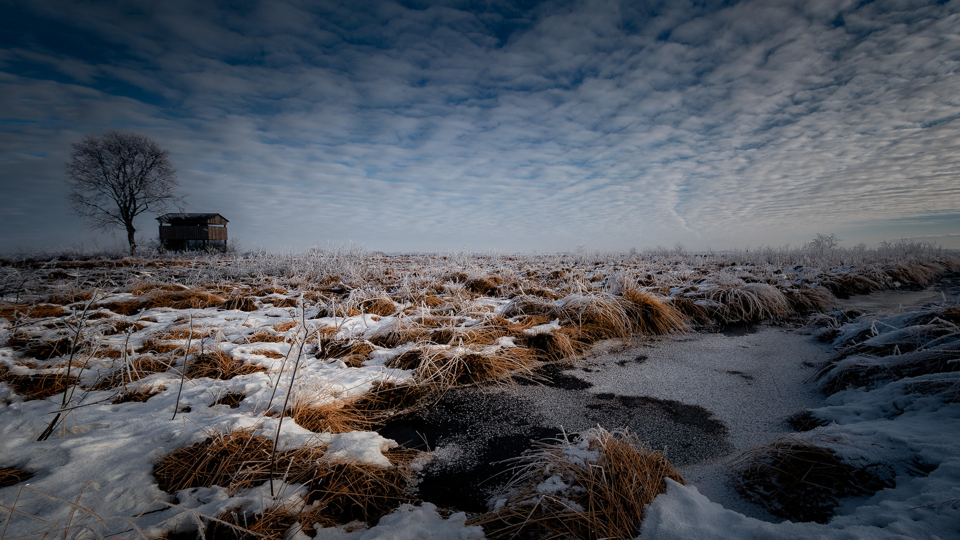 Wintermoor Foto & Bild | landschaft, moor, winter Bilder auf fotocommunity
